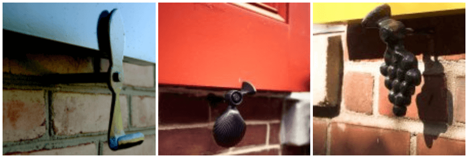 How Shutter Dogs Complete Your Look